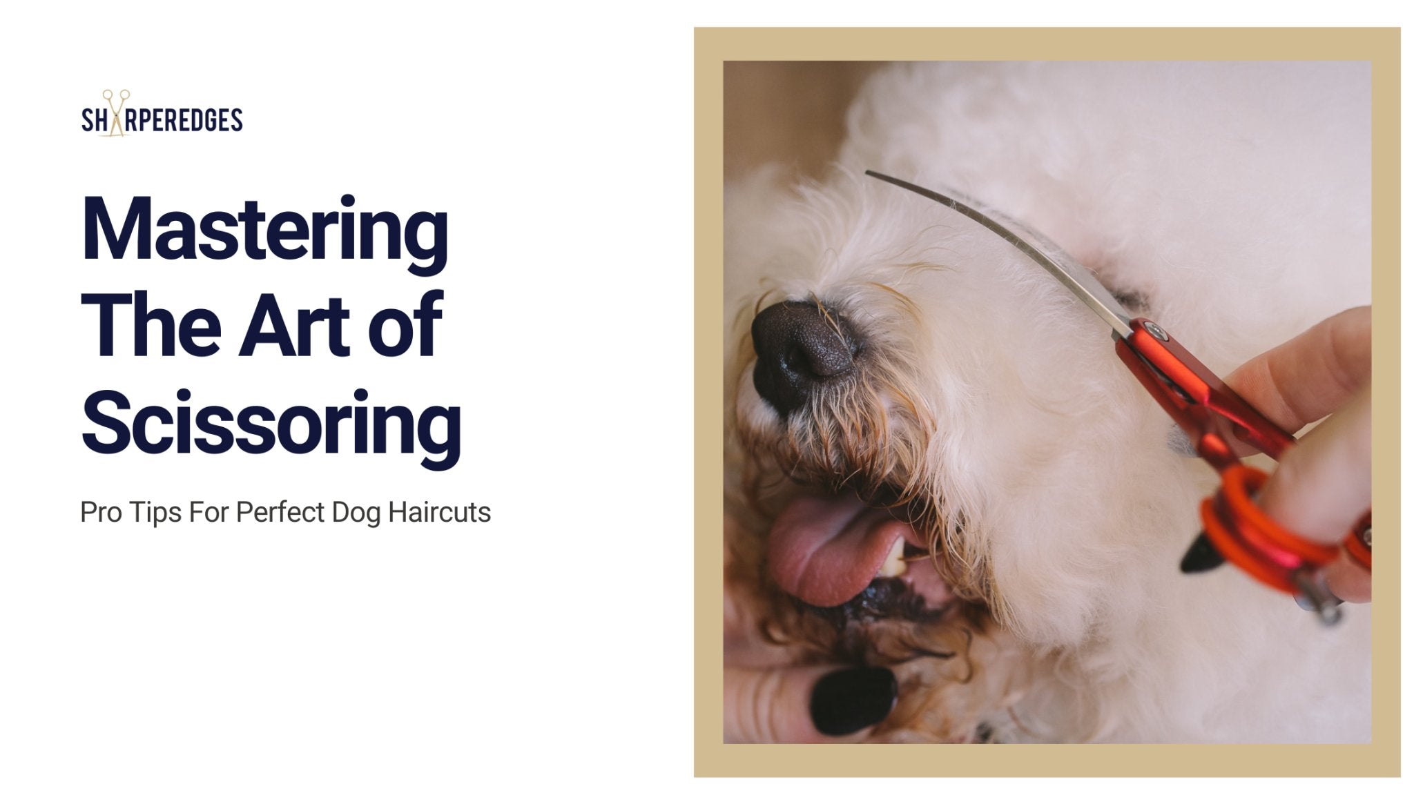 Title: Mastering the Art of Scissoring: Pro Tips for Perfect Dog Hairc ...