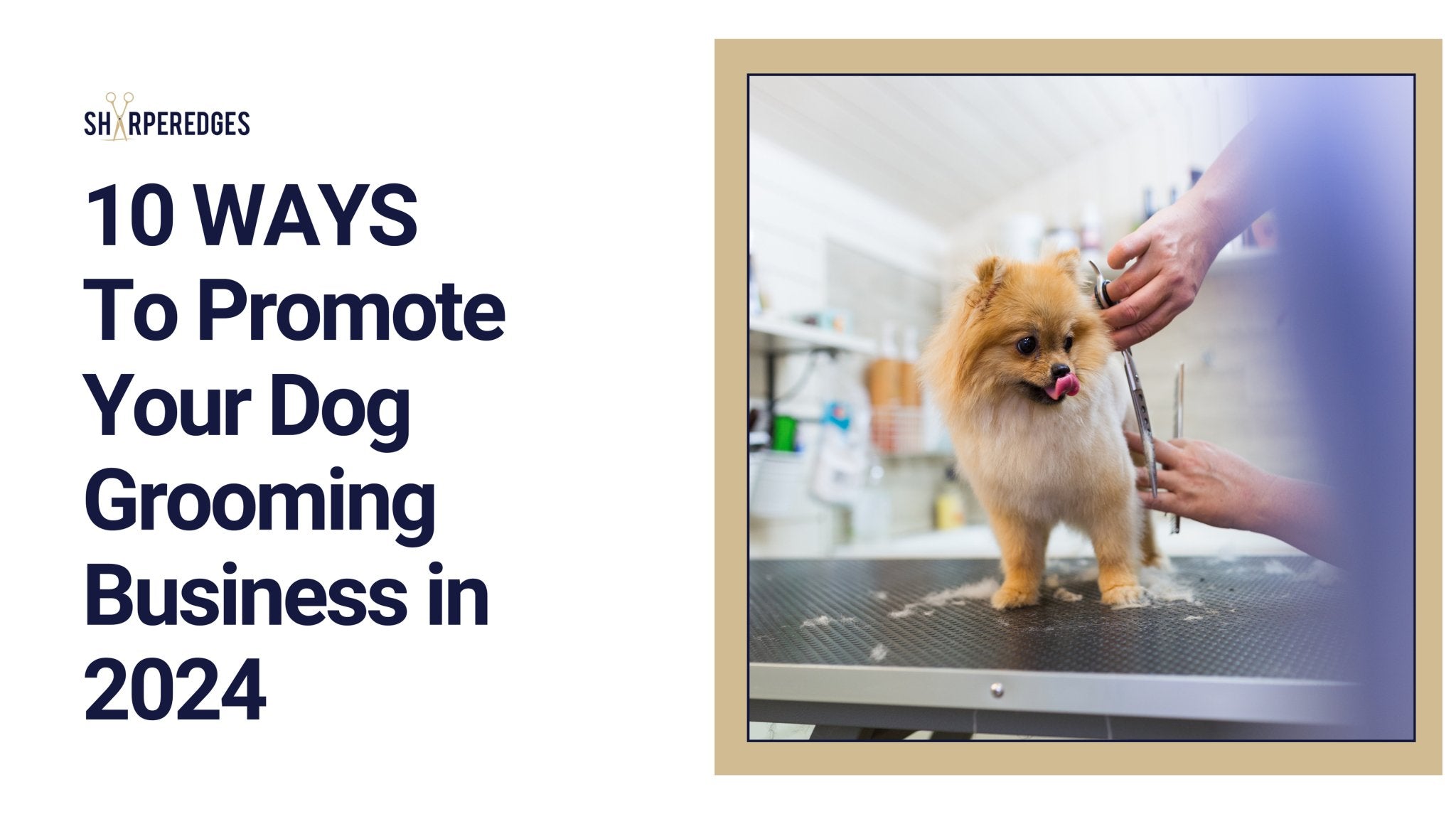 10 Ways to Promote Your Dog Grooming Business in 2024 – Sharperedges ...