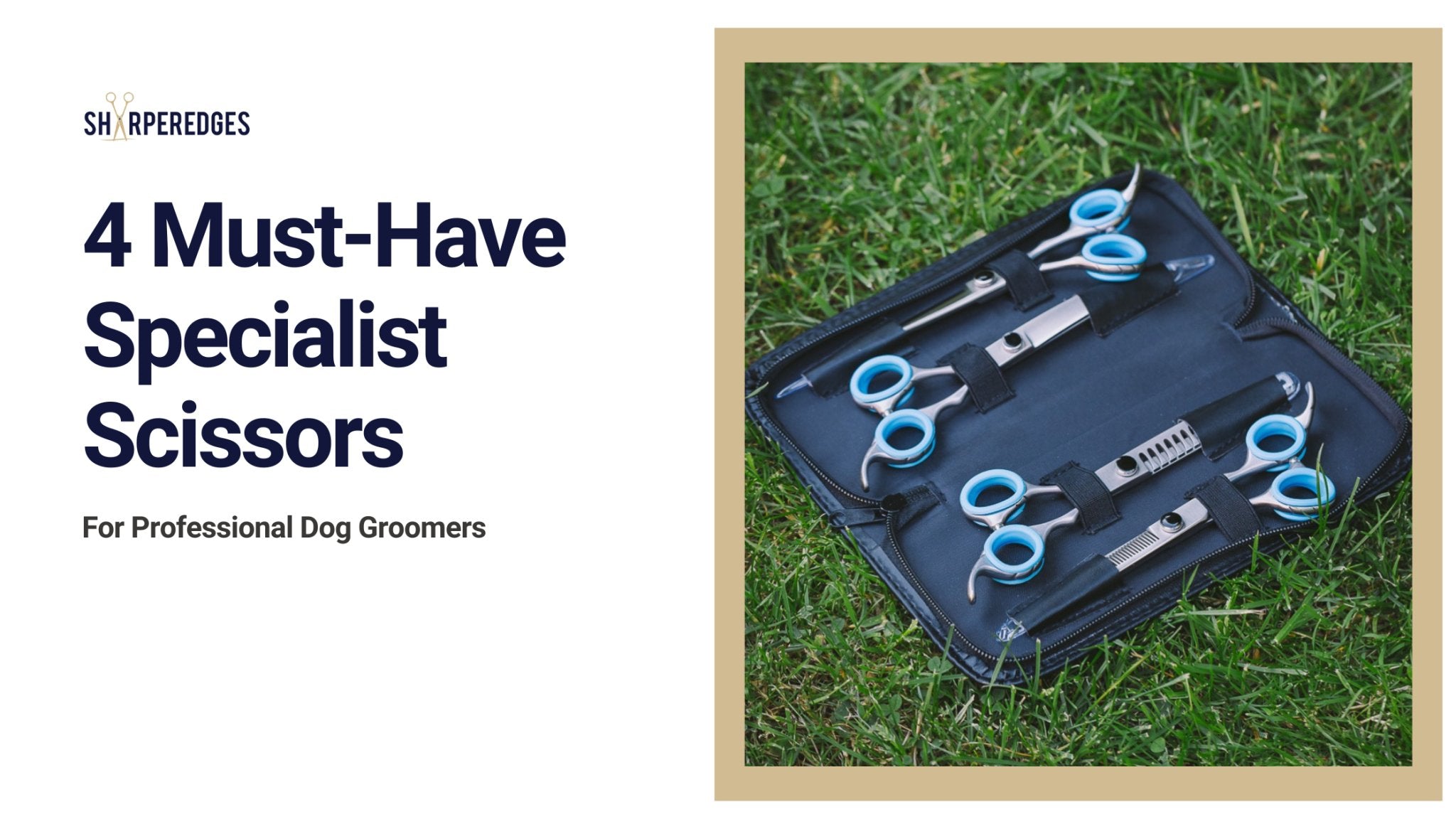 4 Must-Have Specialist Scissors for Professional Dog Groomers ...