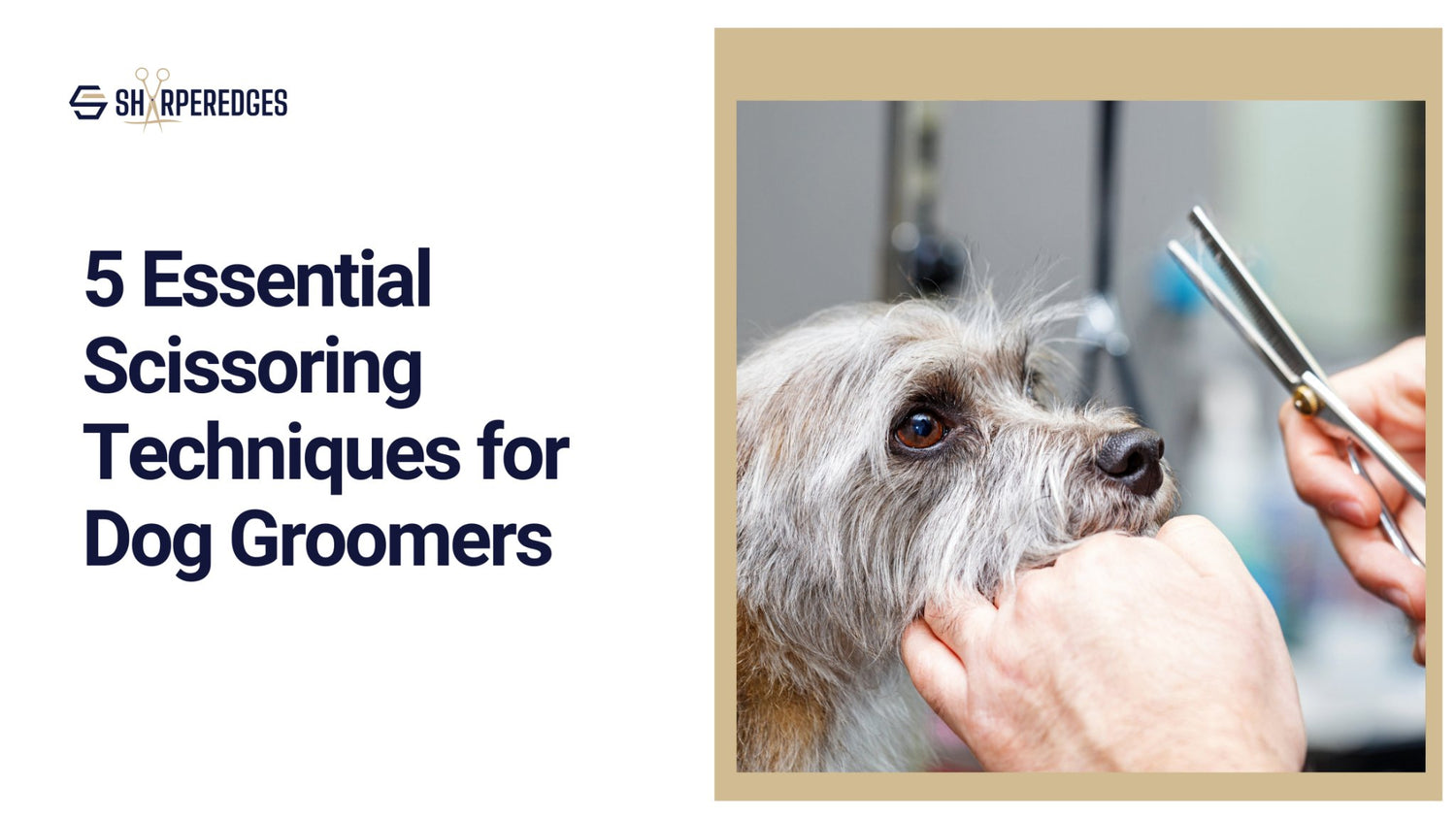 5 Essential Scissoring Techniques for Dog Groomers – Sharperedges Scissors