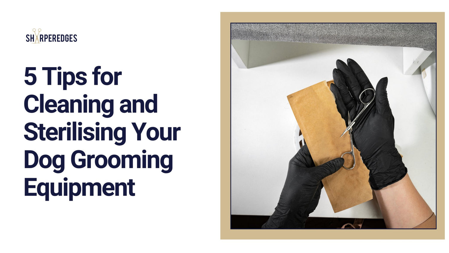 5 Tips for Cleaning and Sterilizing Your Dog Grooming Equipment ...