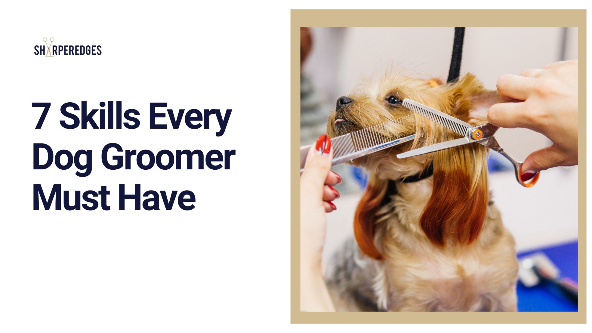 7 Skills Every Dog Groomer Must Have – Sharperedges Scissors