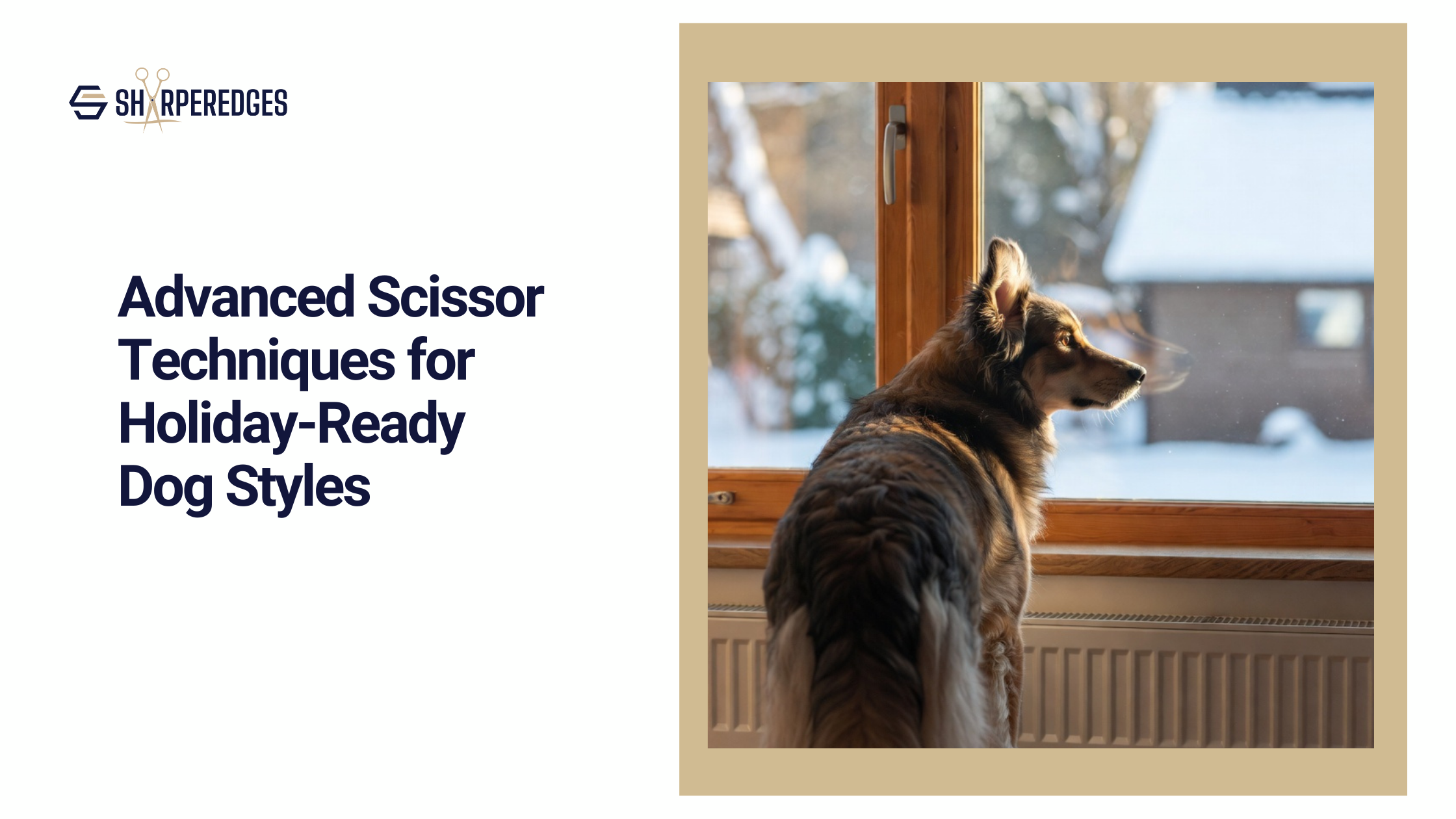 Advanced Scissor Techniques for Holiday-Ready Dog Style – Sharperedges ...