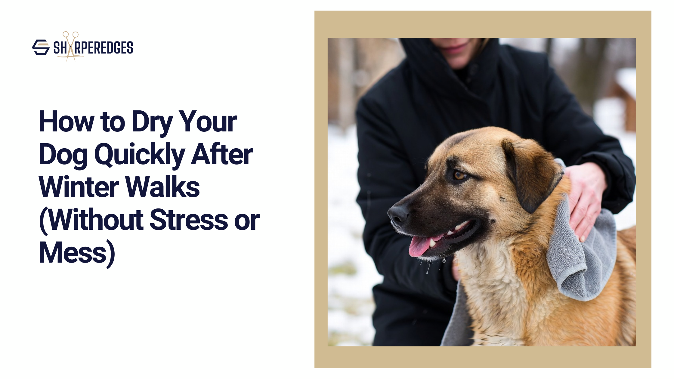 How to Dry Your Dog Quickly After Winter Walks (Without Stress or Mess ...