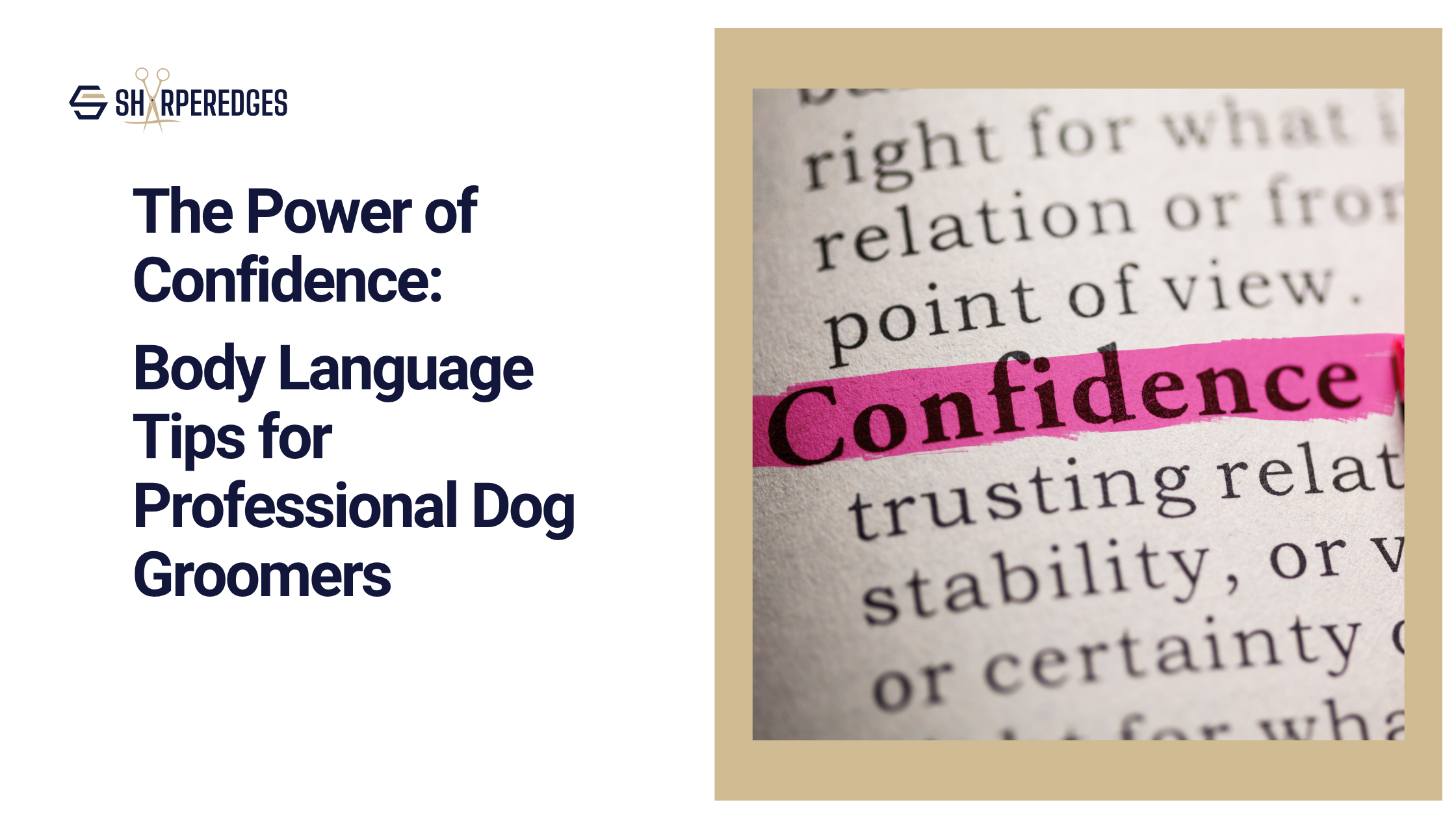 Calm Confidence in Dog Grooming | Body Language Tips for UK Groomers ...