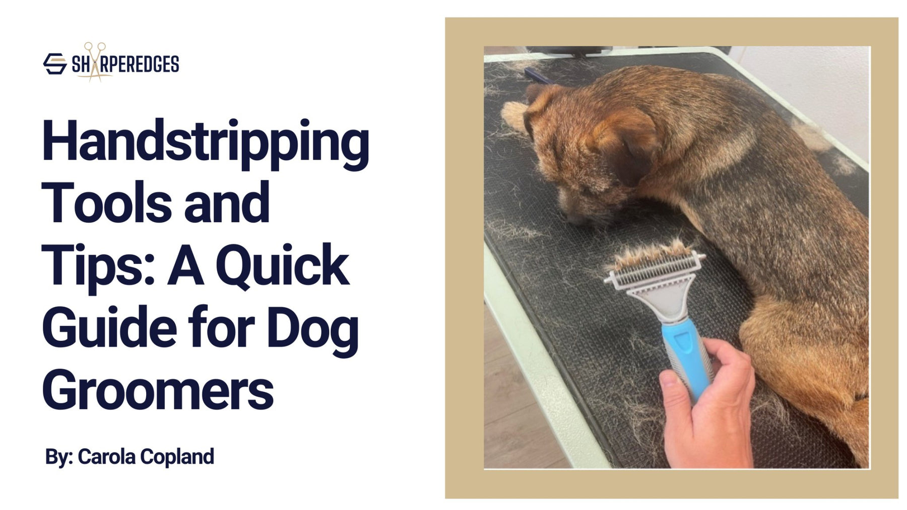 Handstripping Tools and Tips: A Quick Guide for Dog Groomers ...