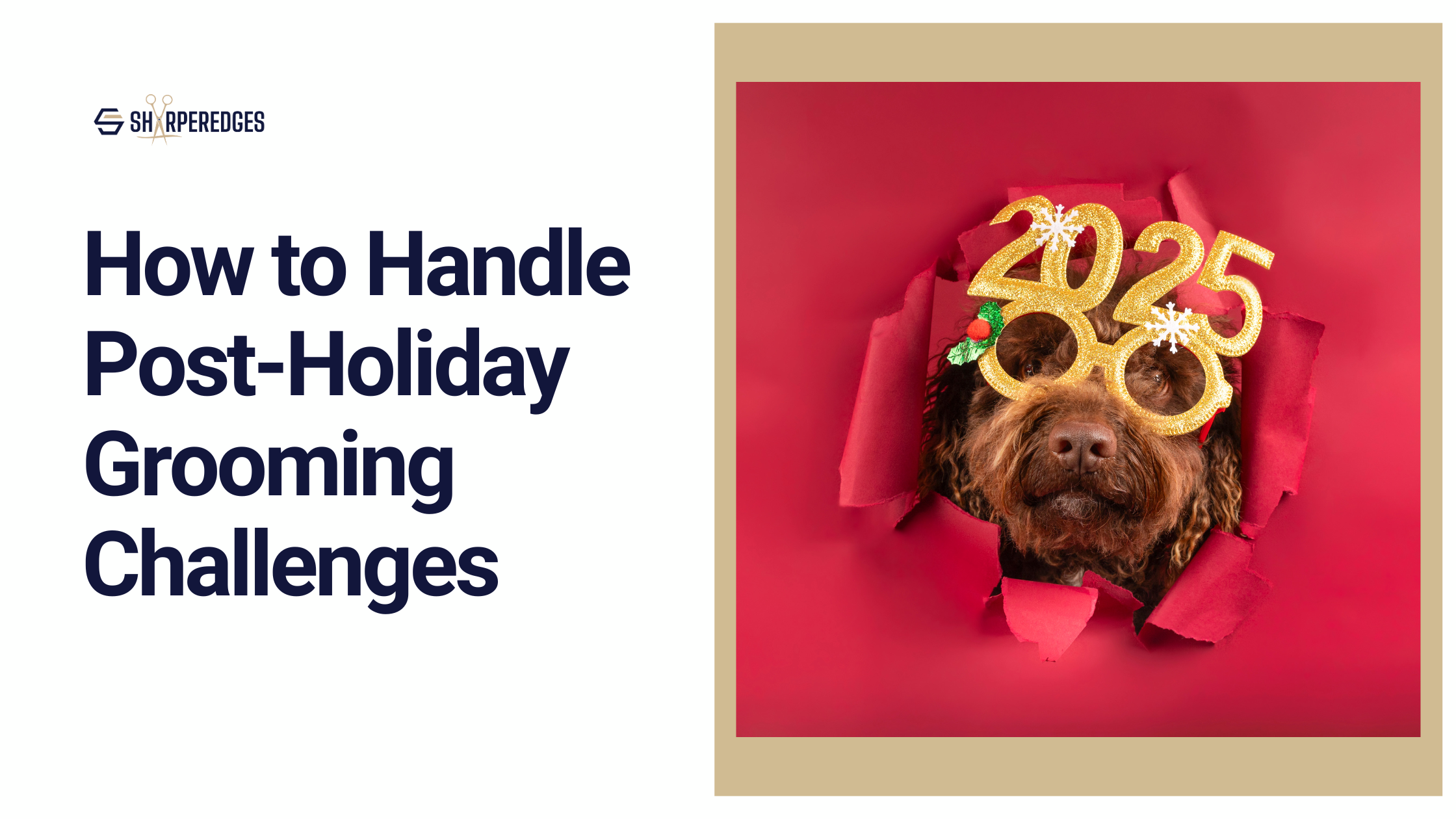 How to Handle Post-Holiday Grooming Challenges – Sharperedges Scissors