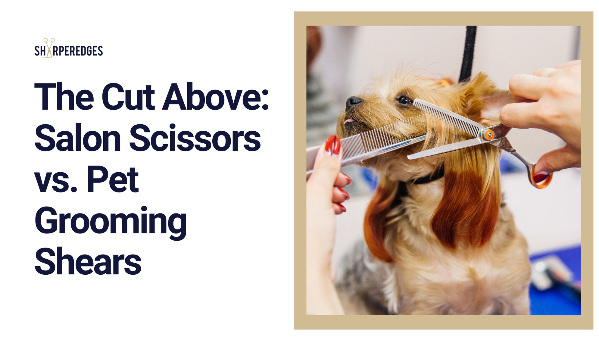 The Cut Above: Salon Scissors vs. Pet Grooming Shears – Sharperedges ...